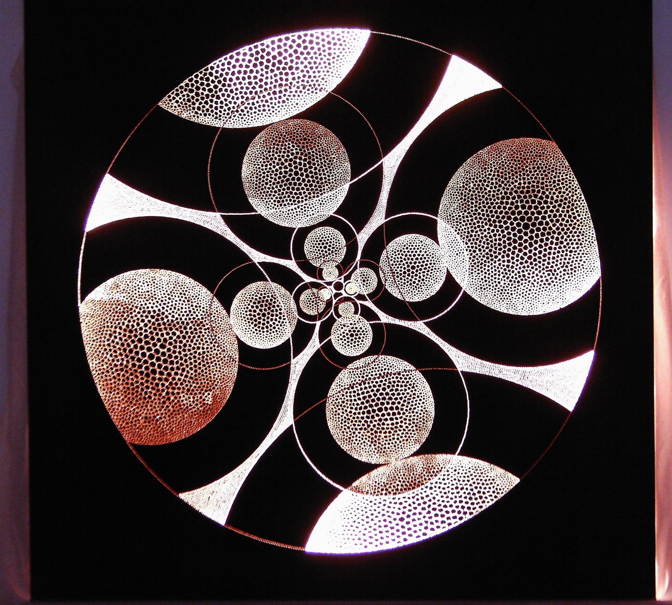 Inspired by Fibonacci Numbers – Drillworks.